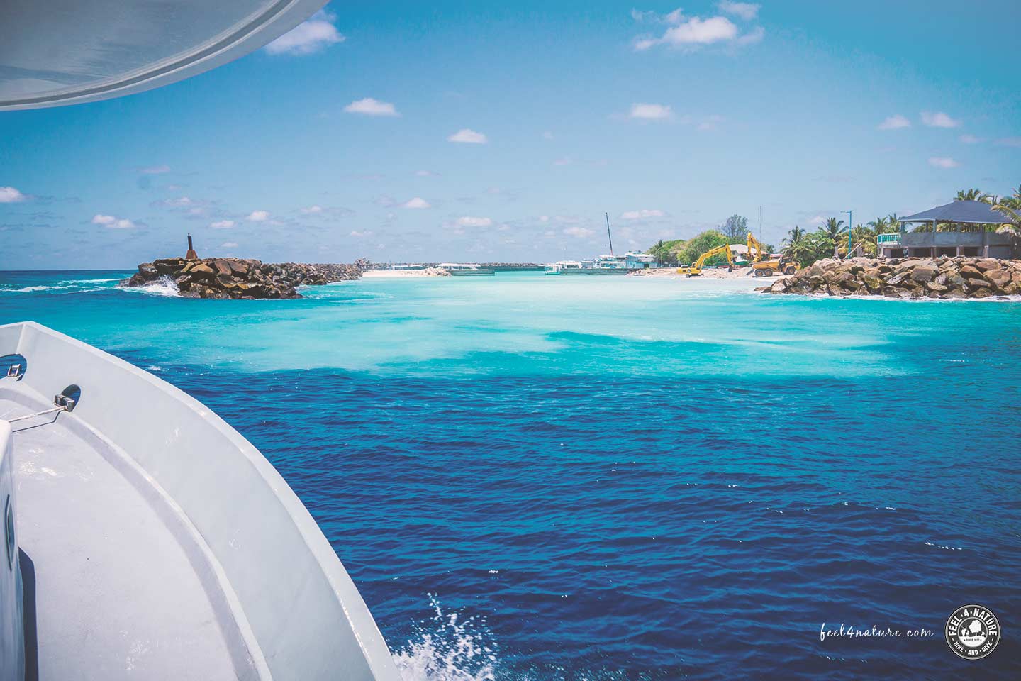 Tigerhai Tauchen Malediven: Unsere Erfahrung mit Fuvahmulah