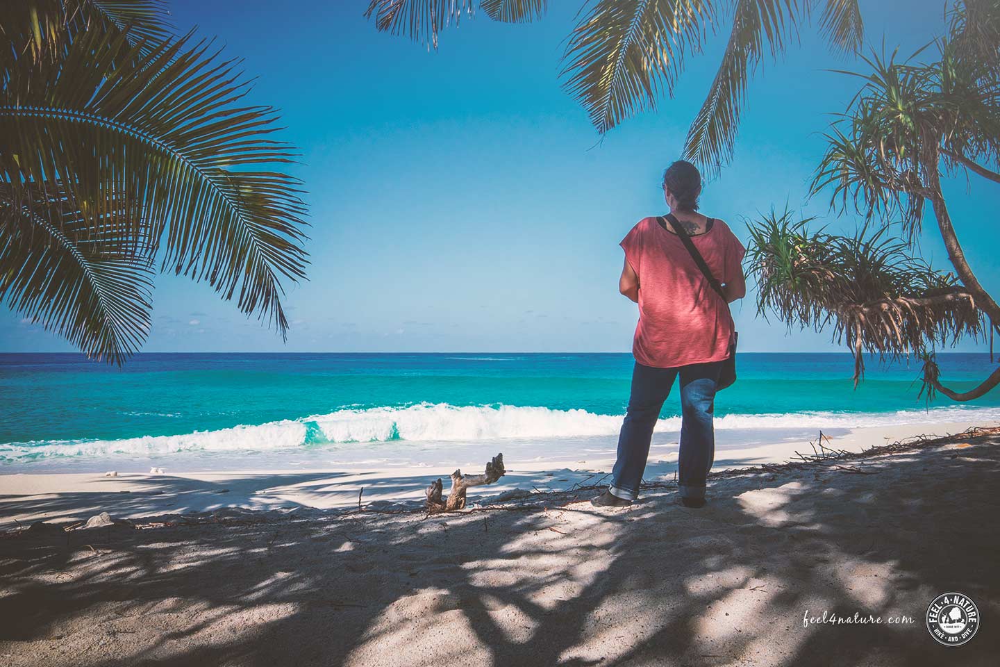 Tigerhai Tauchen Malediven: Unsere Erfahrung mit Fuvahmulah