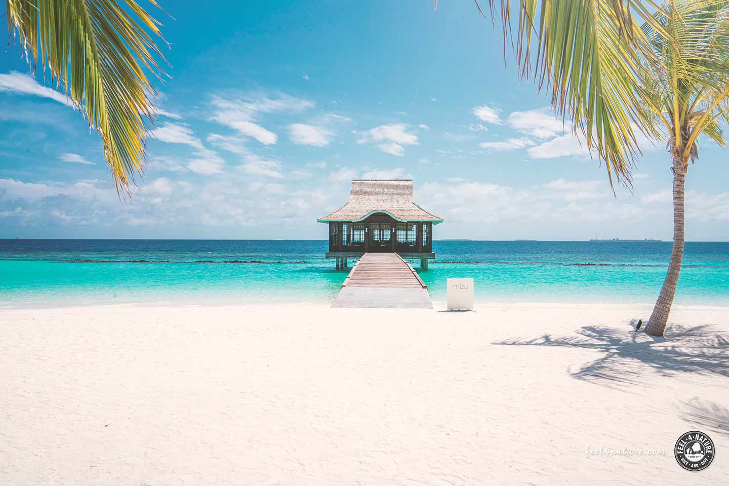 Nova Maldives: Malediven Urlaub in der Jacuzzi Water Villa